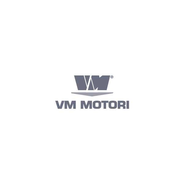 VM MOTORES - Motor Parts España - Piezas y recambios de motor para ...
